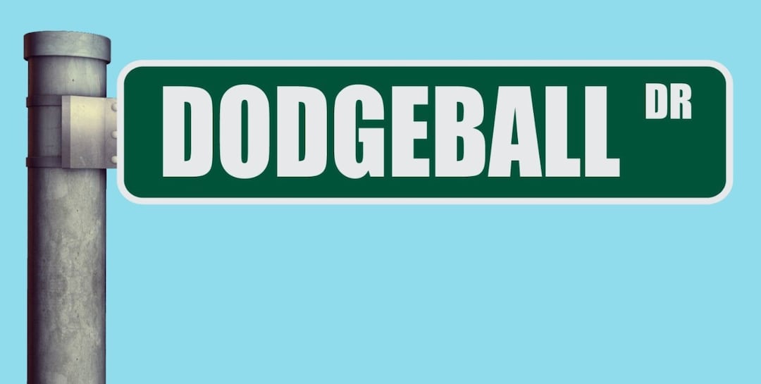 Dodgeball DR Street Sign Drive Heavy Duty Aluminum Warning Parking Sign ...