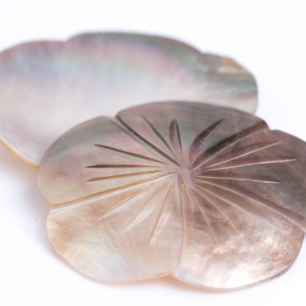 Shell Flowers - Etsy