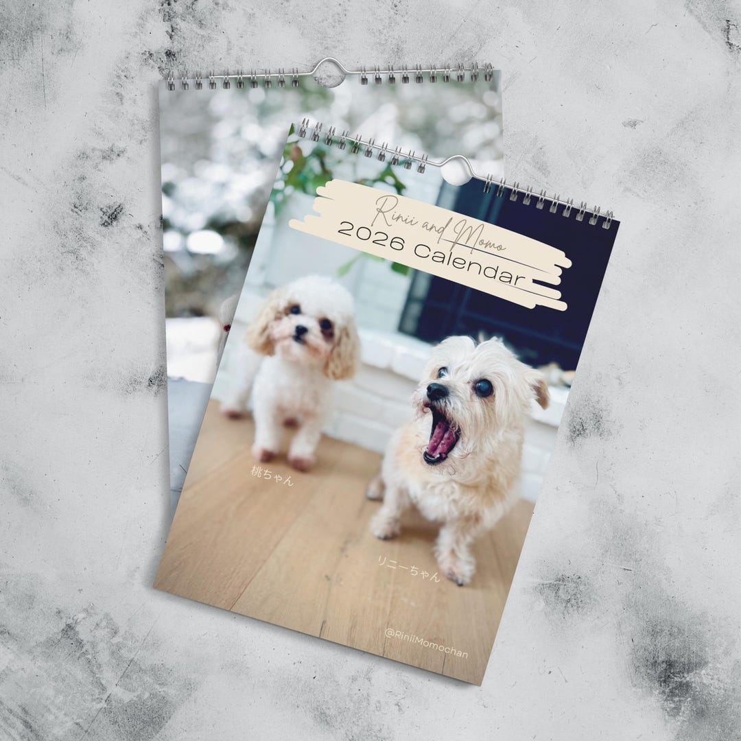 Rinii and Momo - 2026 Wall Calendar - Etsy