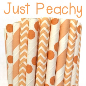 Fall Paper Straws - Chevron Stripe - Peach Straws - Cake Pop Sticks ...