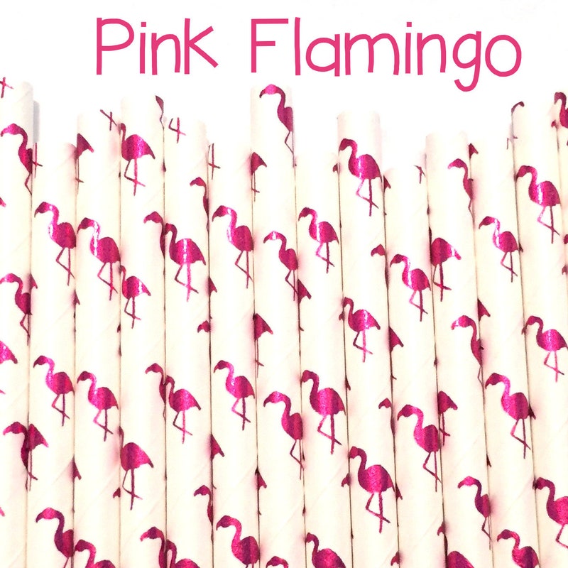 Flamingo Straws - Etsy