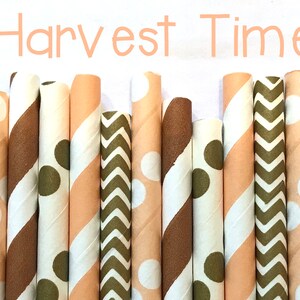 Fall Paper Straws - Chevron Stripe - Peach Straws - Cake Pop Sticks ...
