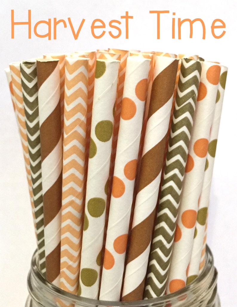 Fall Paper Straws Peach Birch Brown Gold Straws Cake Pop - Etsy