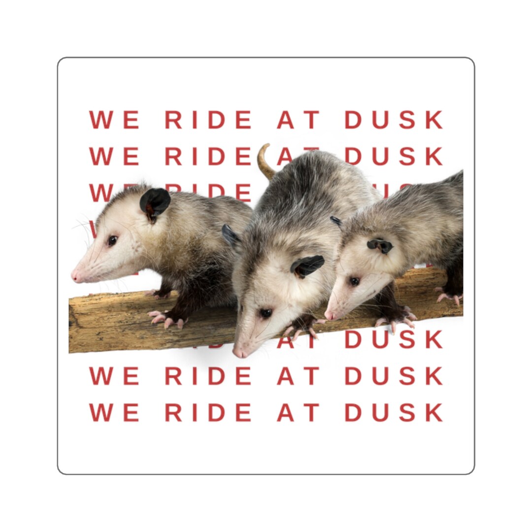 Opossum Sticker Weirdcore Stickers Weird Stickers Possum Sticker ...