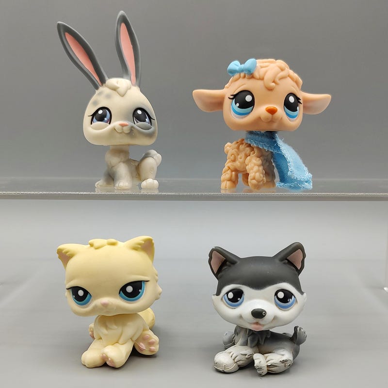 Husky Pet Shop - Etsy