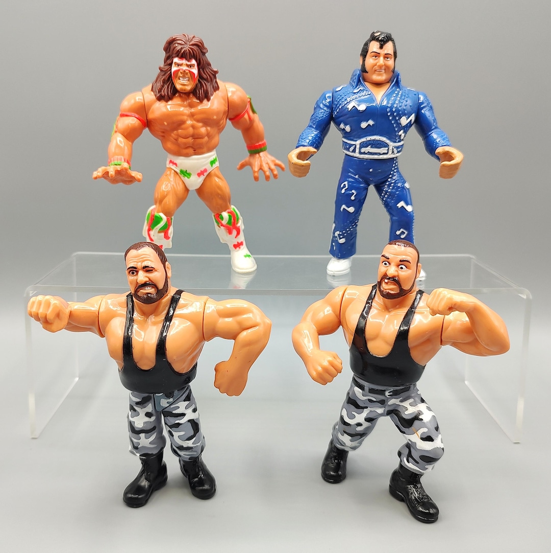 Vintage Wrestling Figure WWE WCW Action Figure / Hasbro Titan Sports ...