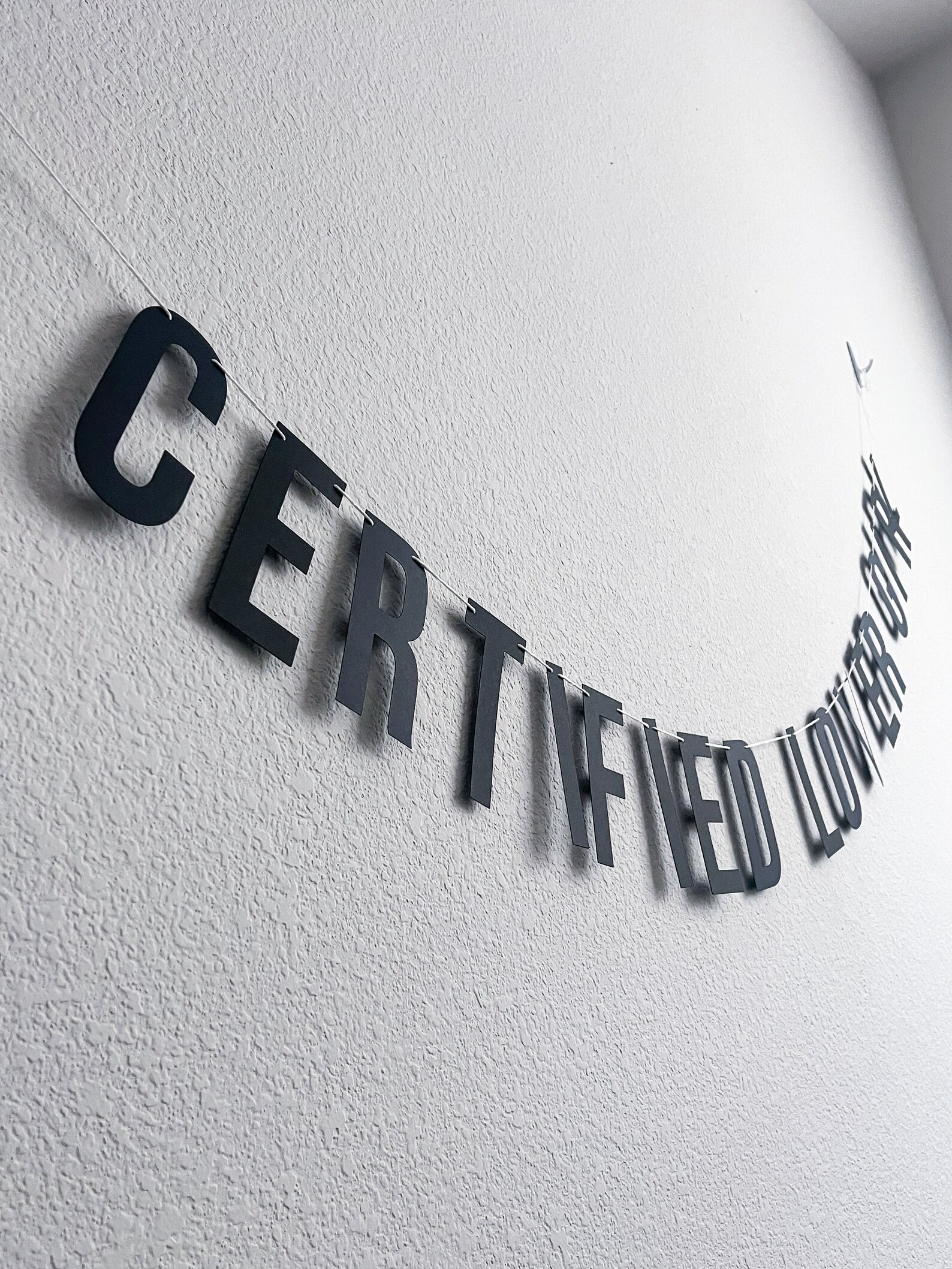 Certified Lover Girl Banner Drake Banner Drake Birthday 0 - Etsy