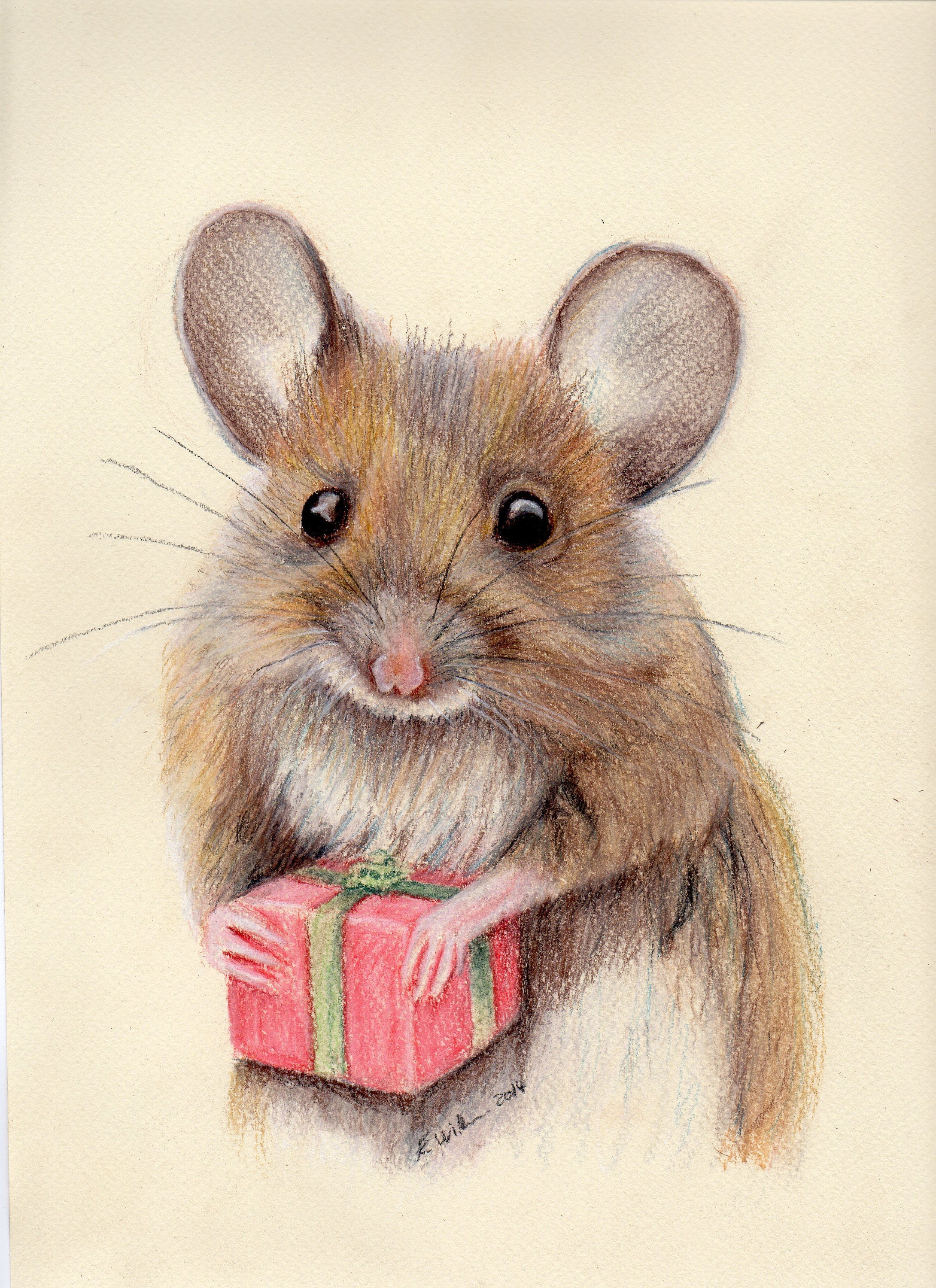 Cute Field Mouse, Holding Present, "chrismouse", 5" X 7" Greetings Card ...
