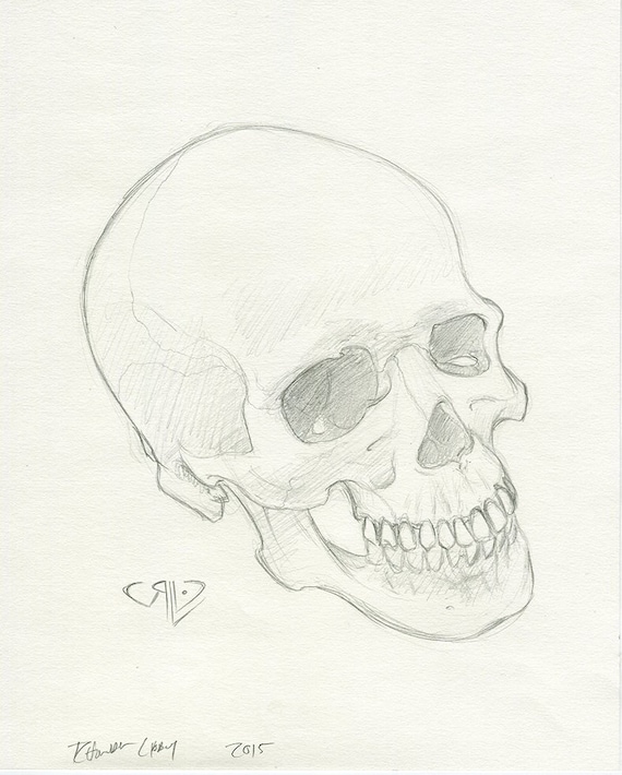 Cool Skull Drawings Tumblr