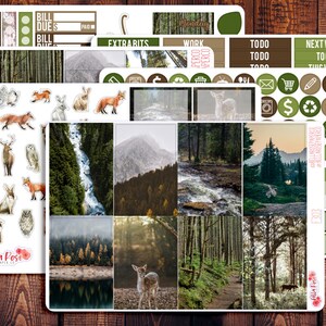 Forest Friends Planner Sticker Kit, for Use in Erin Condren Life ...