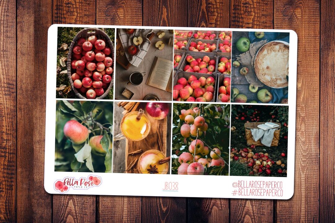 Apple Picking Fall Full Boxes, for Use in Erin Condren Life Planners ...