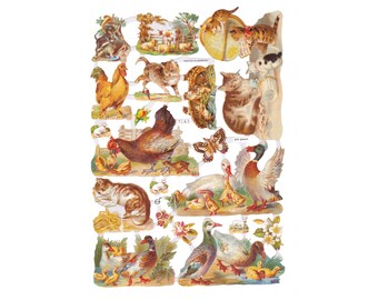 Chicken Paper | Etsy