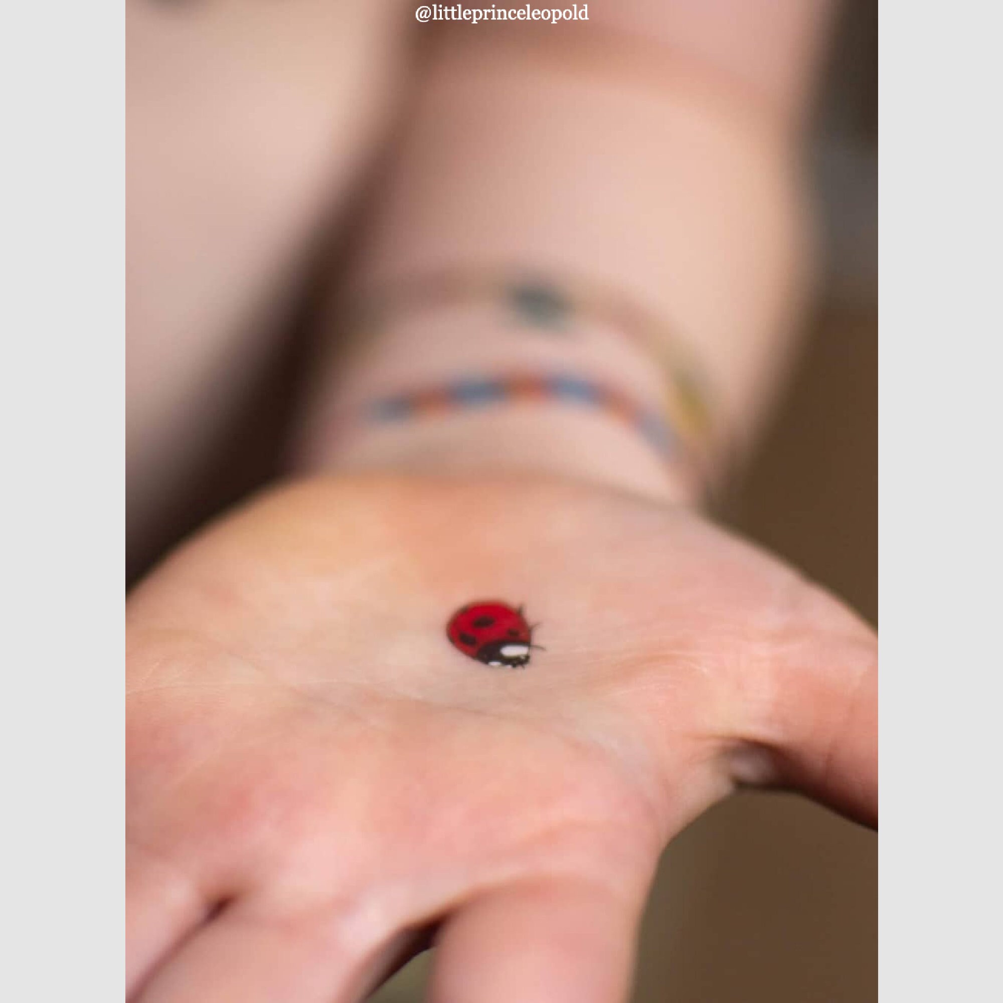 Ladybird Temporary Tattoo Set of 66 Tiny Ladybugs Kids - Etsy