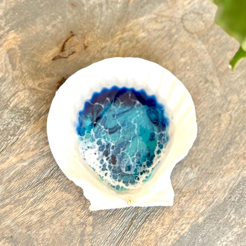 Scallop Shell Resin Ocean - Etsy