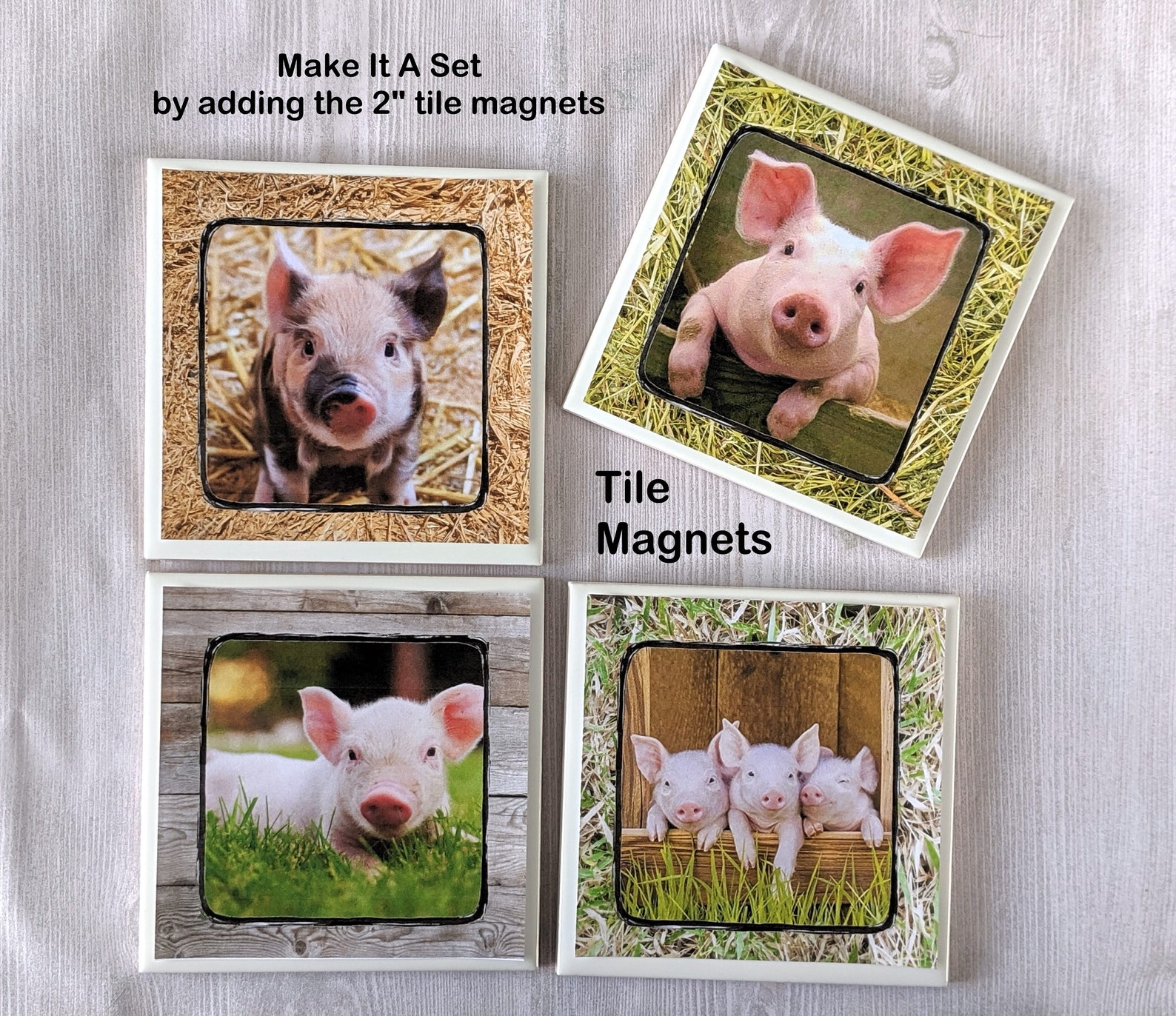 Pig Coasters Funny Coasters Pig Magnets Teacup Pigs Piglets - Etsy