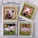 Pig Coasters Funny Coasters Pig Magnets Teacup Pigs Piglets Pig Fan ...