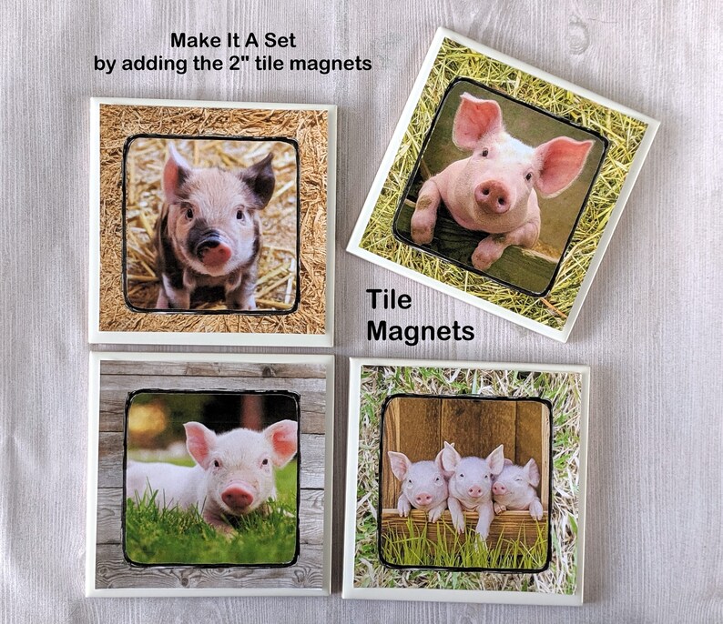 Pig Coasters Funny Coasters Pig Magnets Teacup Pigs Piglets - Etsy