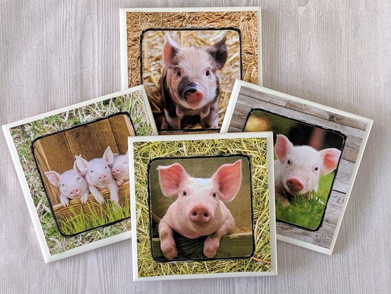 Pig Coasters Funny Coasters Pig Magnets Teacup Pigs Piglets | Etsy