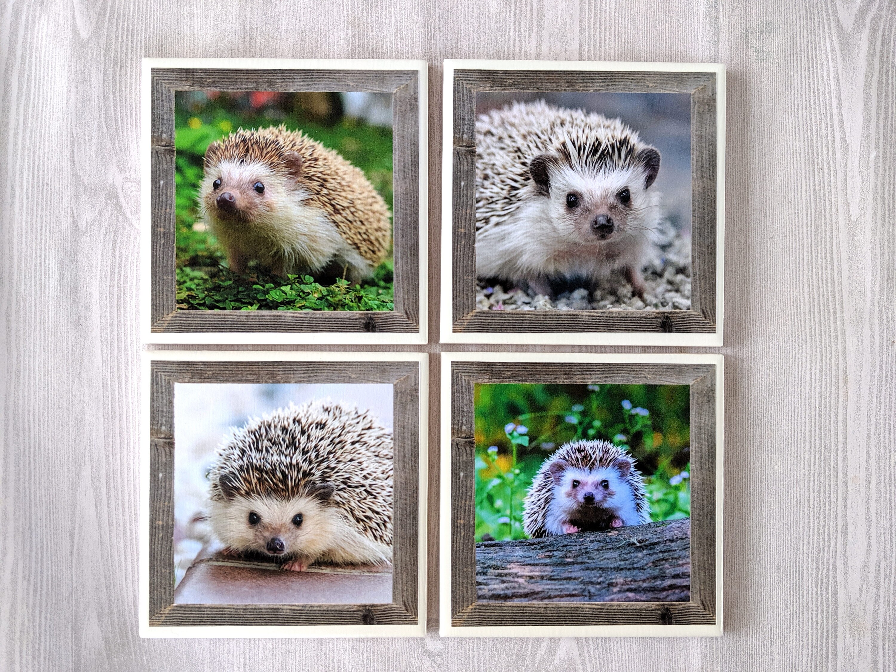 Hedgehog Coasters Magnets Tile Coaster Set Magnet Set Cute | Etsy