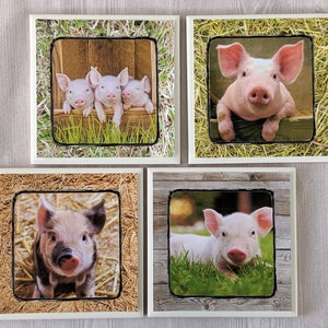 Pig Coasters Funny Coasters Pig Magnets Teacup Pigs Piglets Pig Fan ...