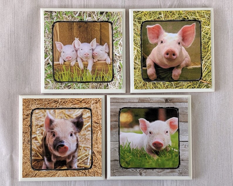 Pig Coasters Funny Coasters Pig Magnets Teacup Pigs Piglets - Etsy