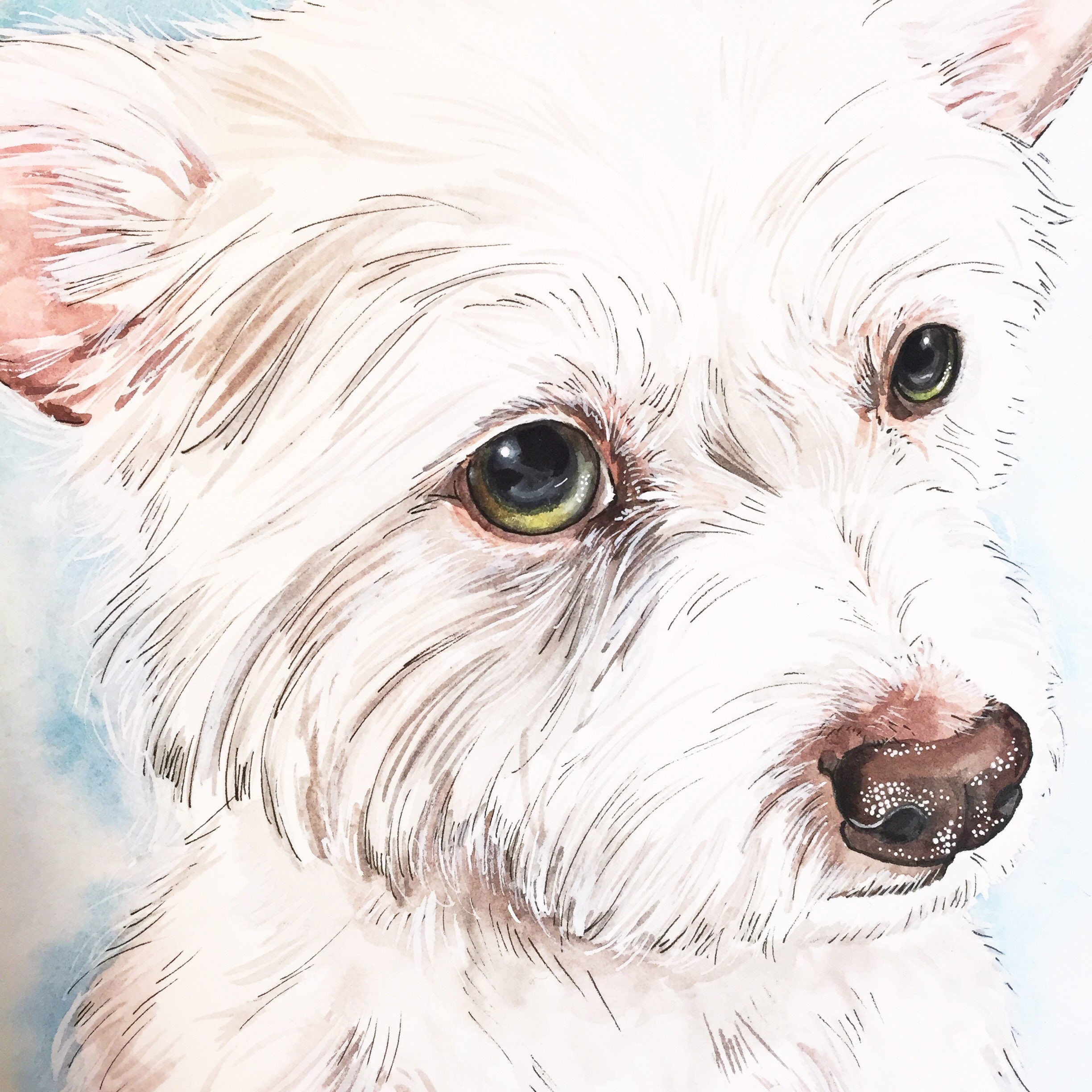 Whimsical Custom Watercolor Pet Portrait