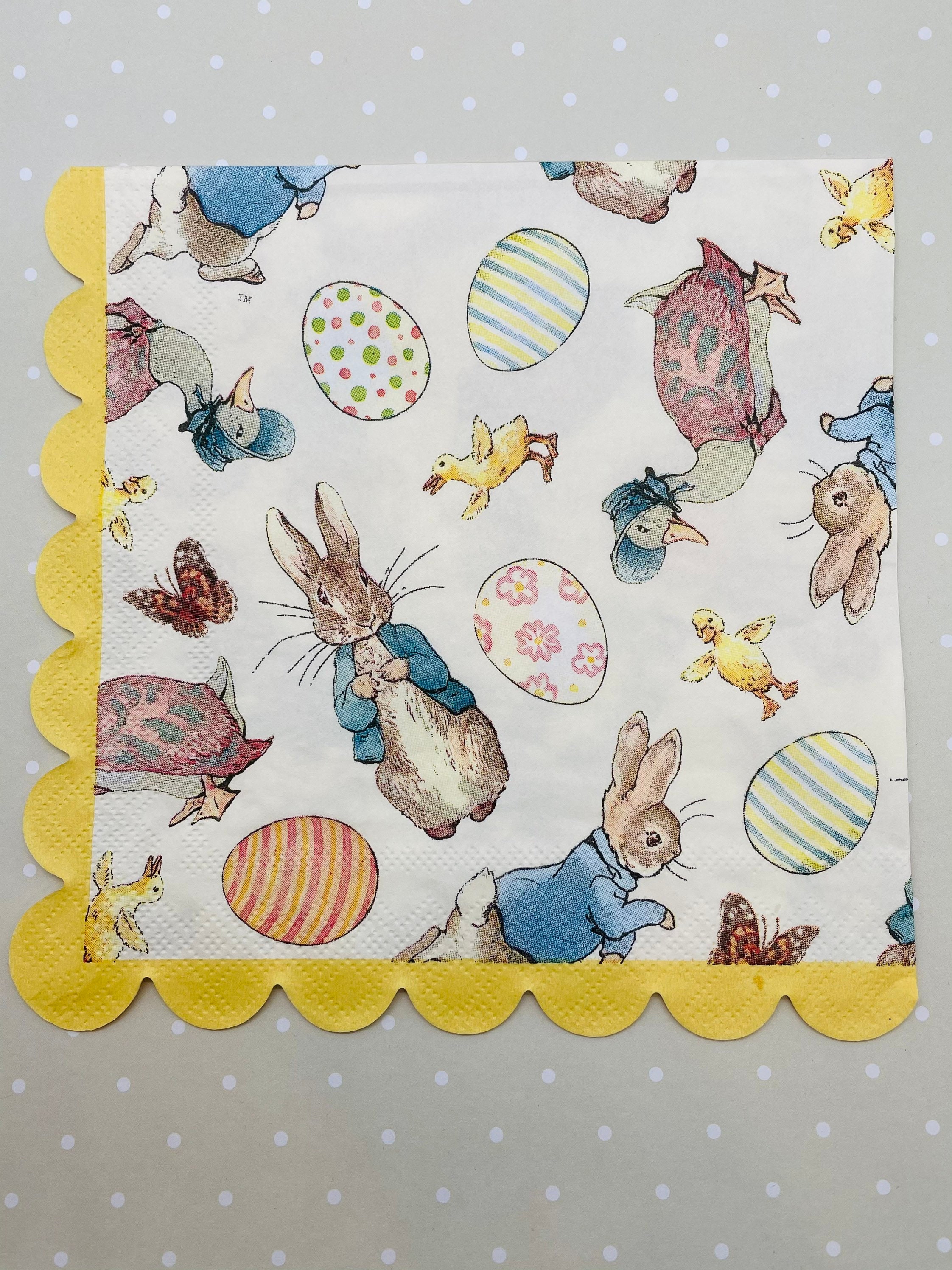 2 Peter Rabbit Easter Napkins. Lunch Paper Napkins for - Etsy