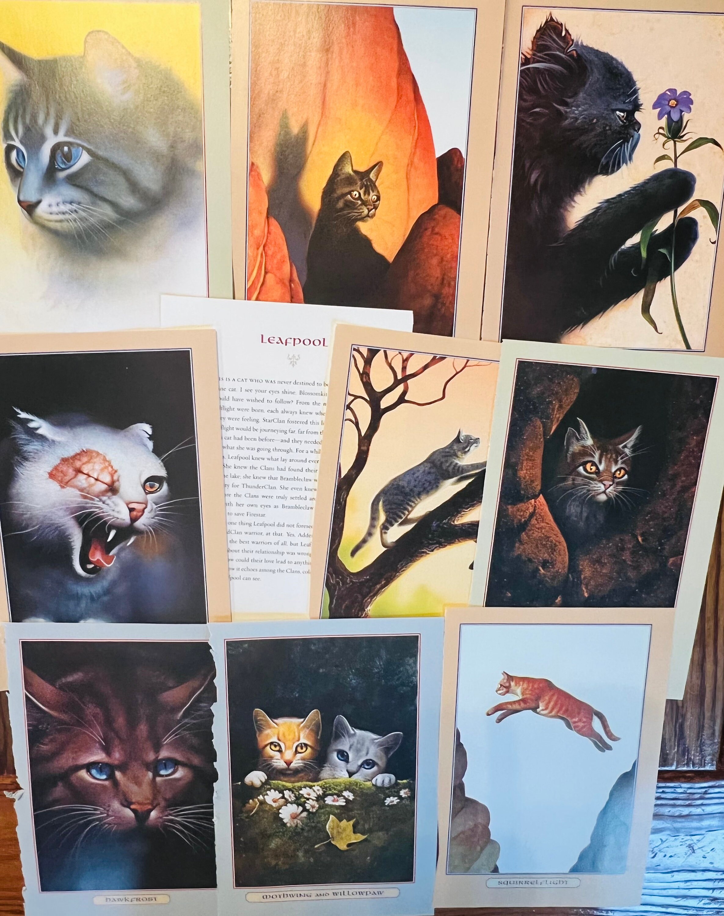 Fantasy Cat Book Pages. Ephemera. Cat Ephemera. Halloween - Etsy