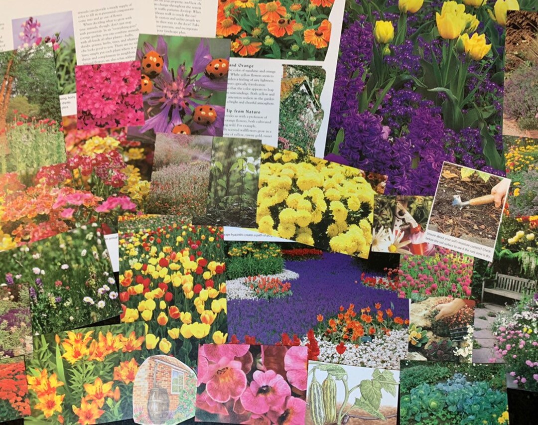 Set of Summer/flower Ephemera. Garden Embellishments. Summer ...