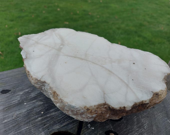Alabaster Stone, Piece of Stone for Sculpting, White Alabaster, 7 Kg, 1 ...
