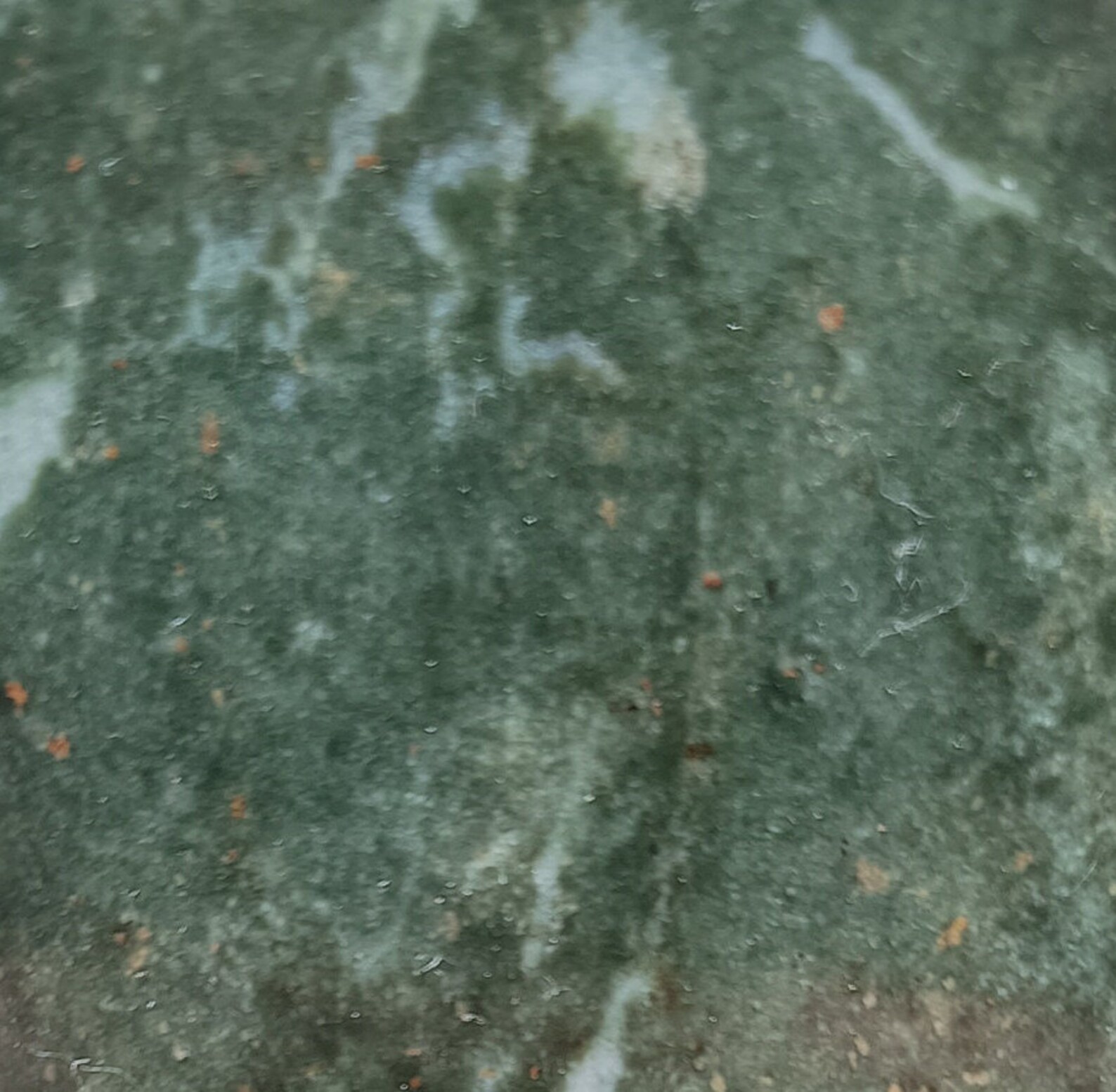 Block Green Opal Serpentine for Carving, Make Your Own Sculpture, Rock ...