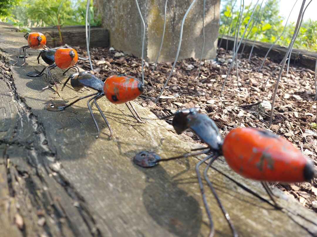 Yard Art, Metal Ants, Wall Decoration for Indoor or Outdoor, Unique ...