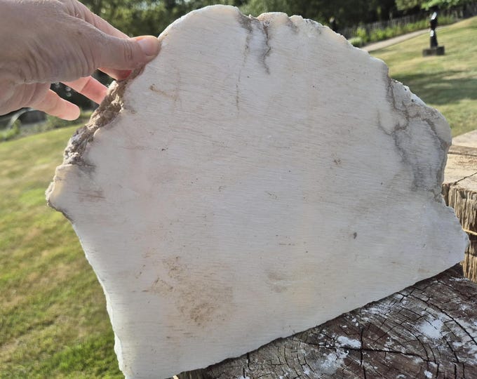 White Alabaster Stone, Piece of Stone for Sculpting,disc White Cloudy ...