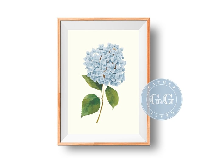 Vintage Hydrangea Print - Etsy