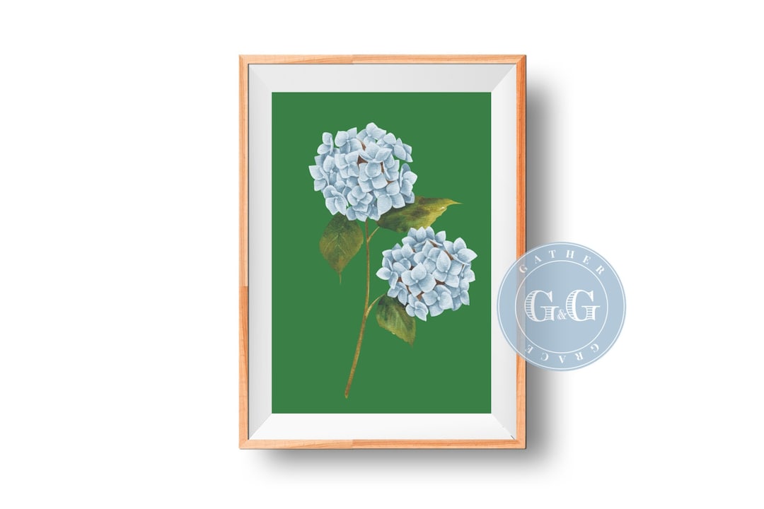 Green and Blue Hydrangea Print - Etsy