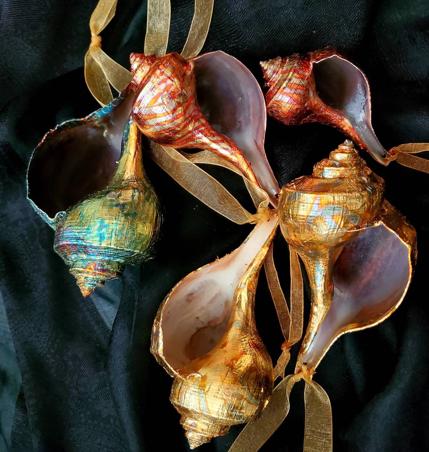 Gilded Channeled Whelk Shell. Multi Color Blue / Green | Etsy