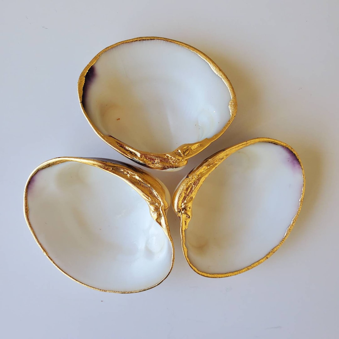 3 Gilded and Drilled Clam Shells . 2 Drilled Clam - Etsy