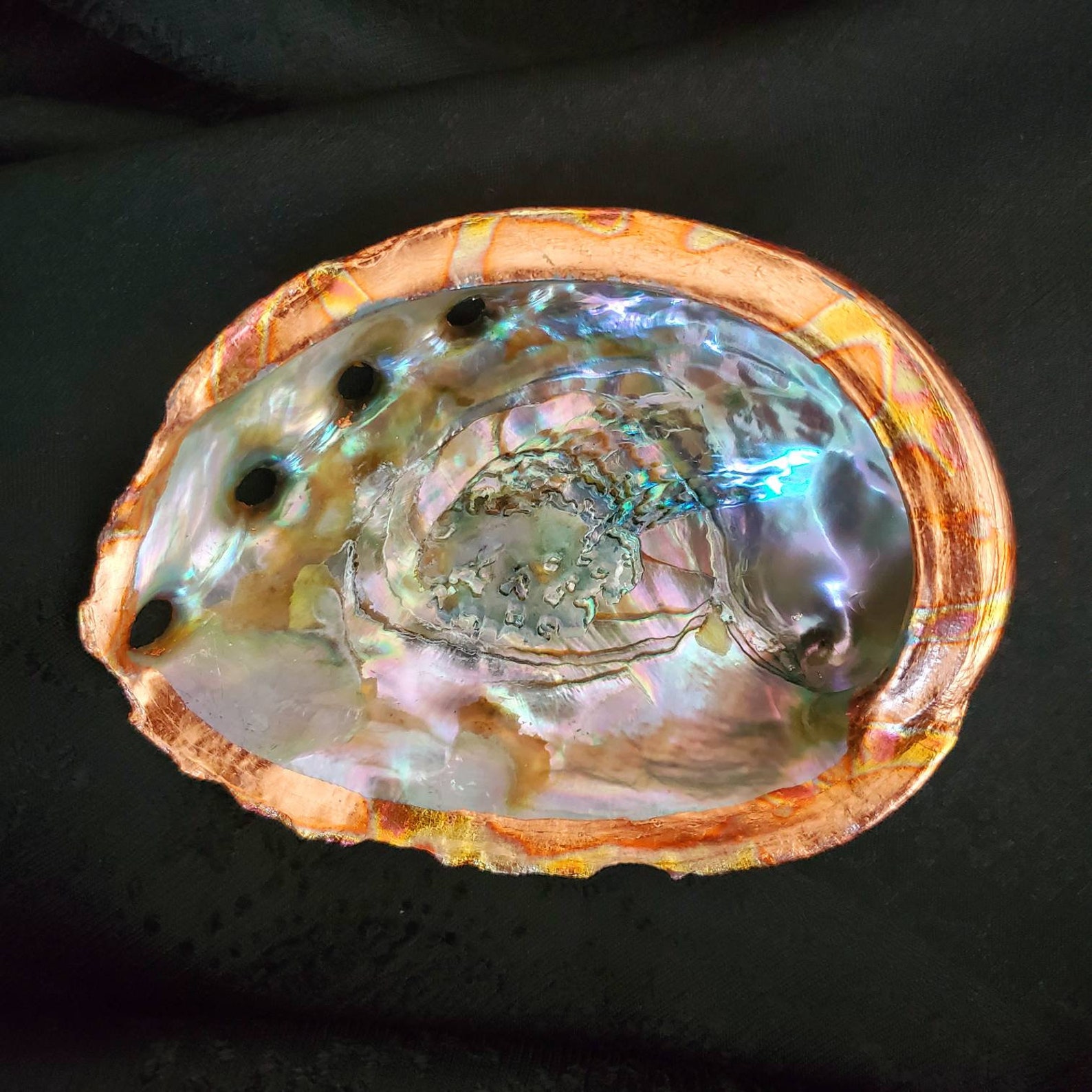 Gilded Abalone Shell. Patterned Gold Foil Abalone Jewelry Dish - Etsy