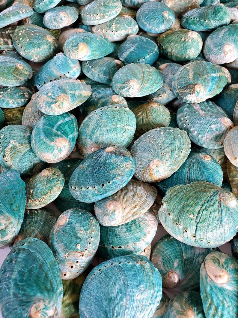 Blue Abalone Shell Table Runner. Abalone Shells Garland. - Etsy