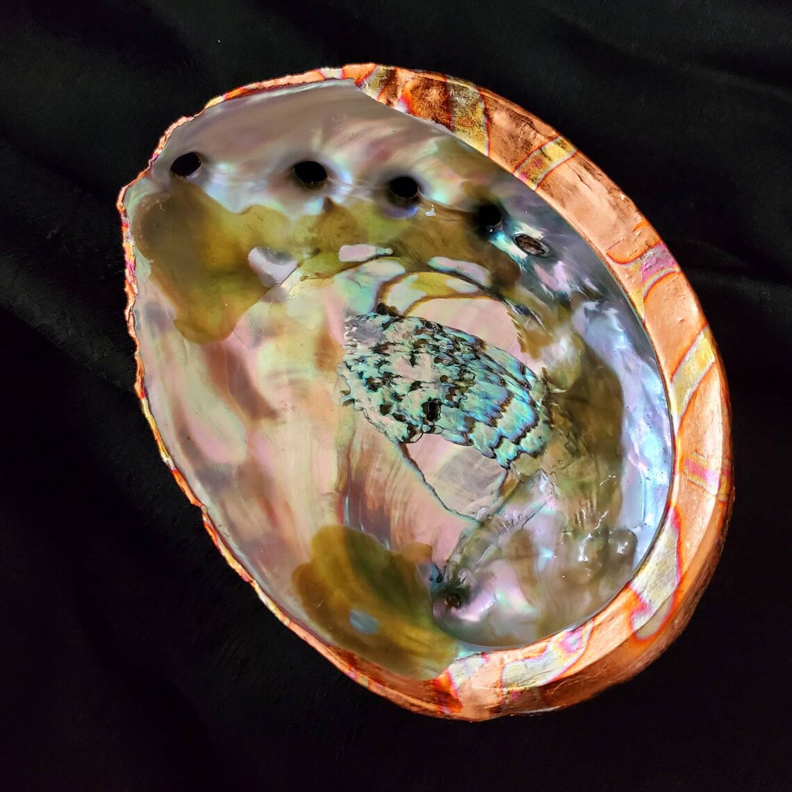 Gilded Abalone Shell. Patterned Gold Foil Abalone Jewelry Dish - Etsy