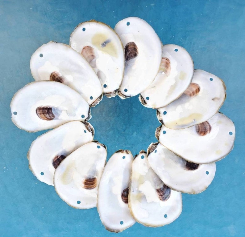 12 Large FLAT SIDE 3 1/4 up to 4 Oyster Shells. Drilled - Etsy