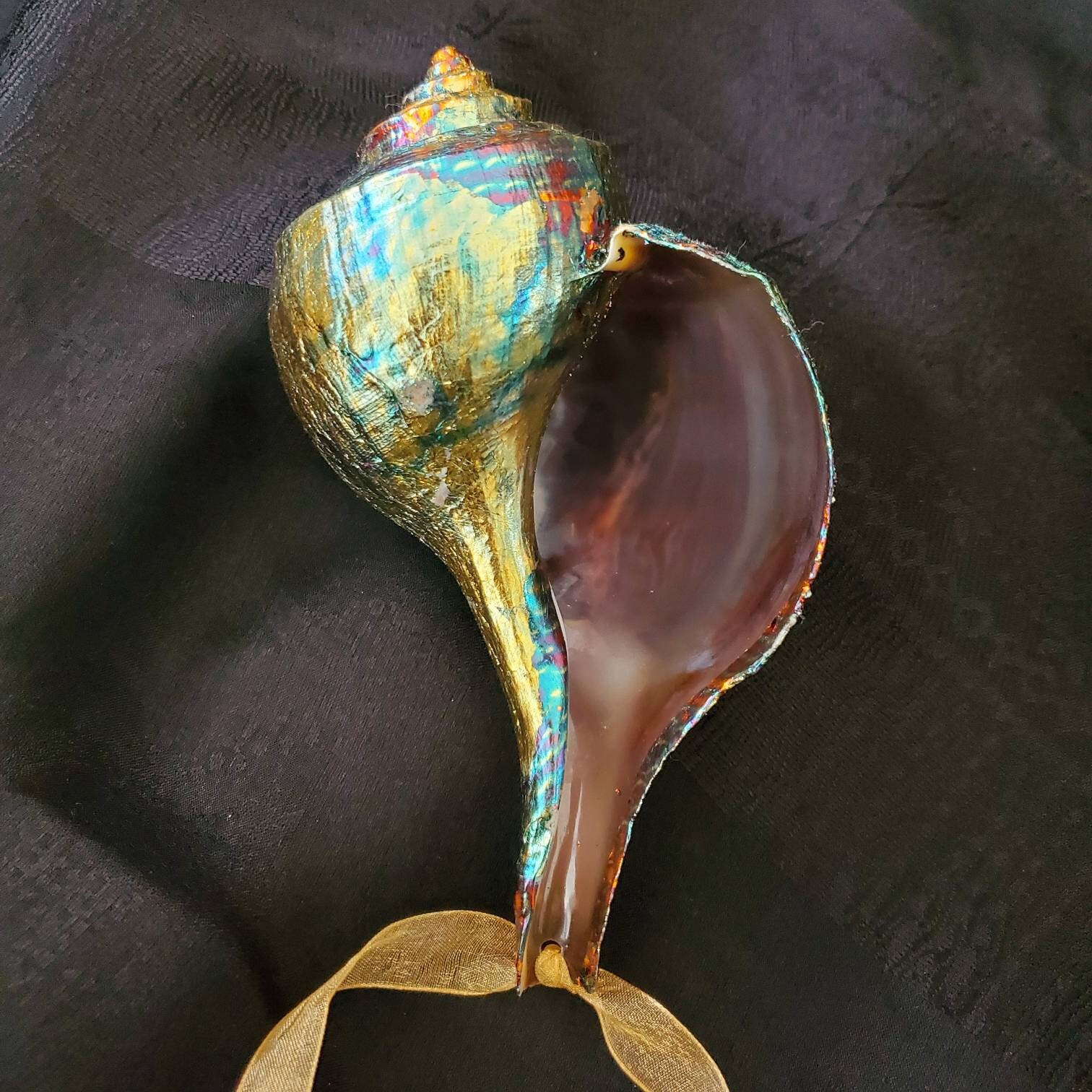 Gilded Channeled Whelk Shell. Multi Color Blue / Green - Etsy