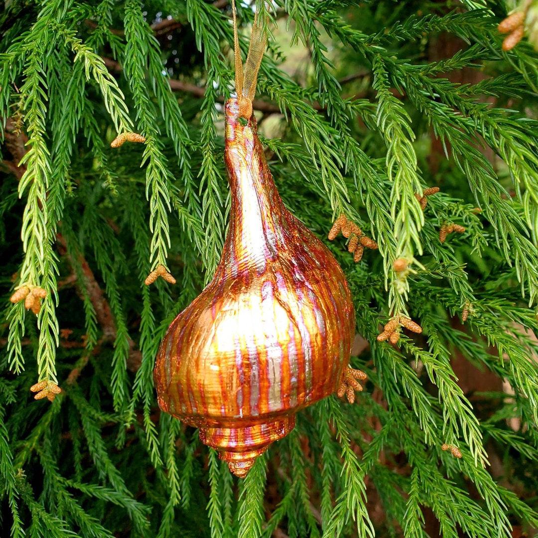 1 Gilded Channeled Whelk Shell. Multi Color Red /gold Patterned Gold ...