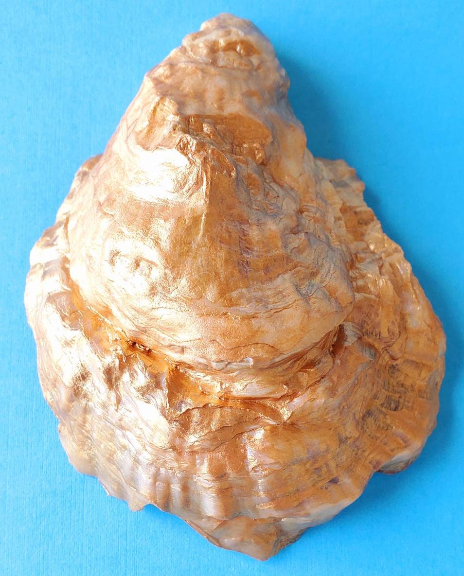Gold Painted Large Oyster Shells .wedding Décor. Oyster | Etsy