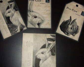 Rabbit Postcard | Etsy