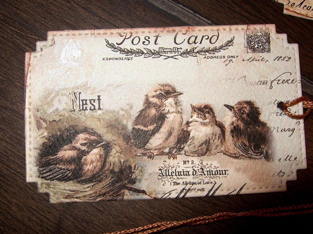 Bird Tags Nest Tags Journal Tucks Housewarming Gift - Etsy
