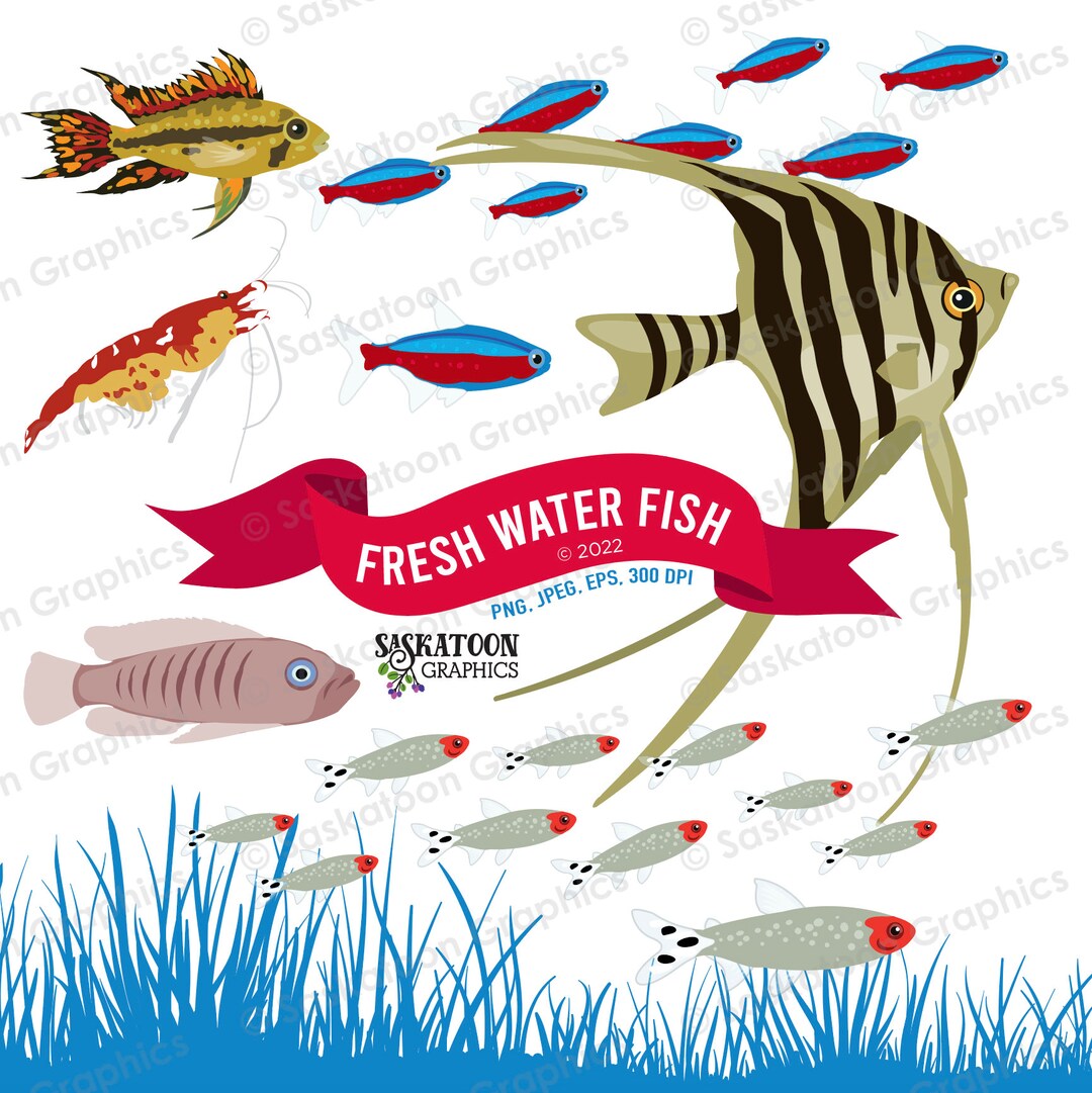 Freshwater Fish Clip Art - Instant Download File - Digital Graphics ...