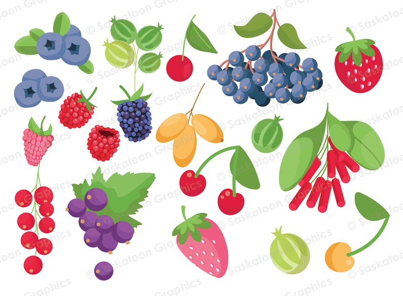 Fresh Berries Clip Art Set Instant Download File Digital - Etsy