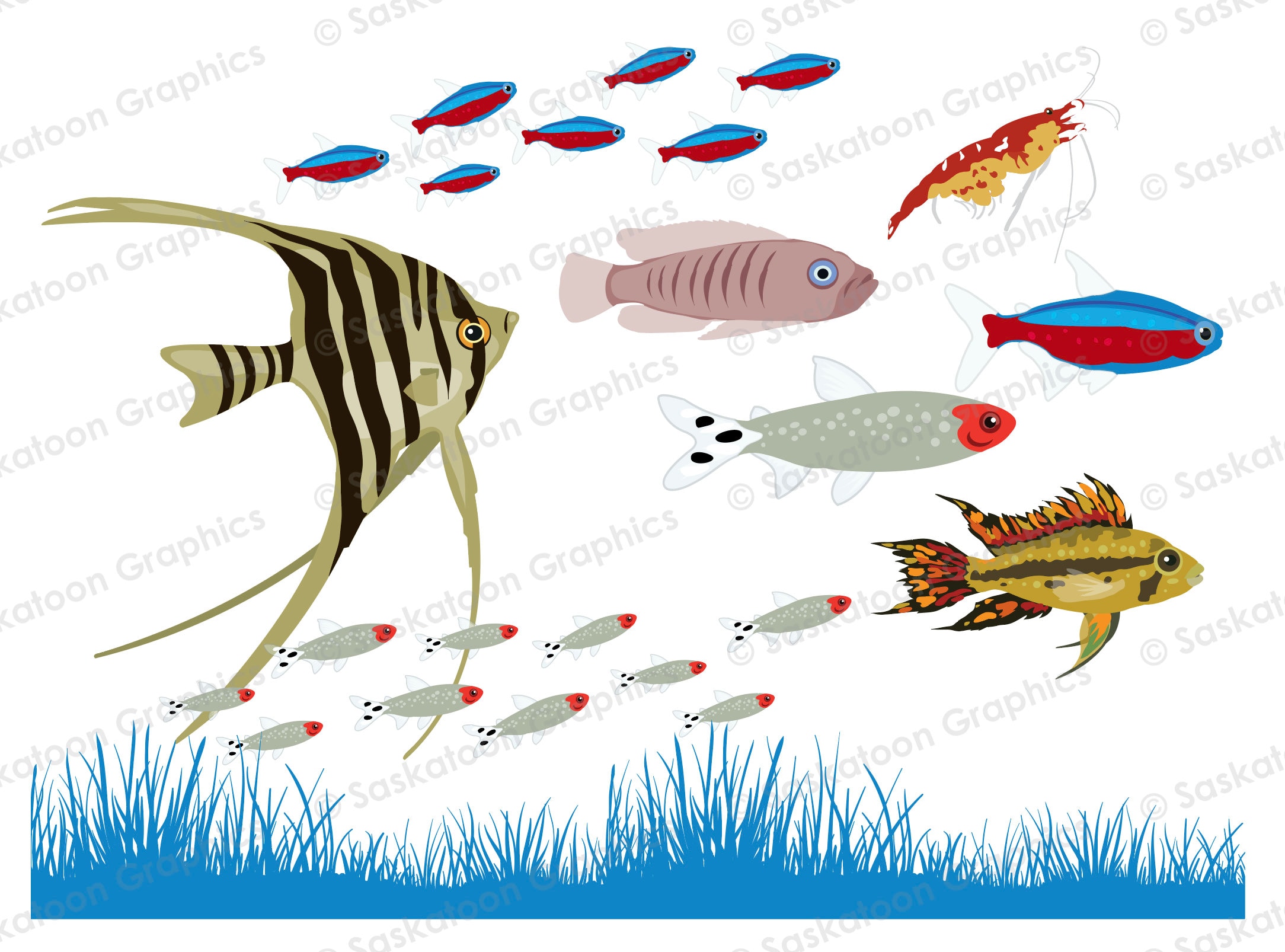 Freshwater Fish Clip Art - Instant Download File - Digital Graphics ...