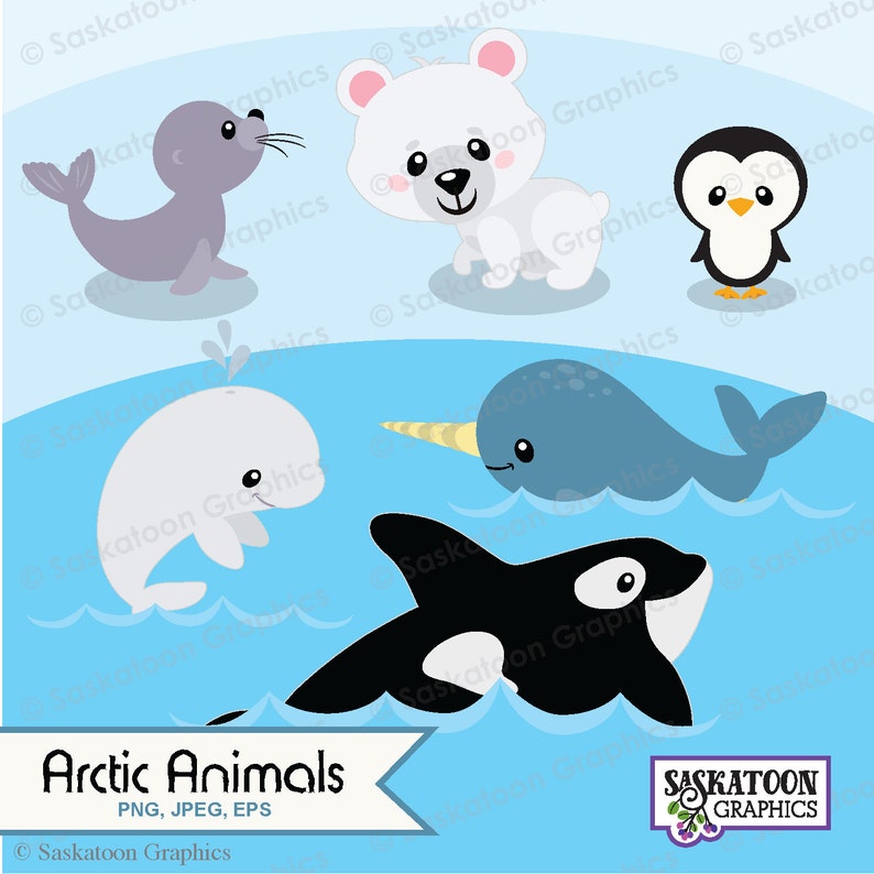 Cute Arctic Animals Clip Art - Instant Download File - Digital Graphics ...